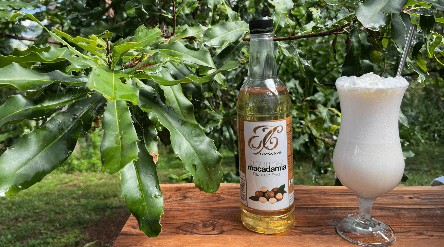 Irresistible Macadamia Frappe recipe! – Cashmere Syrups